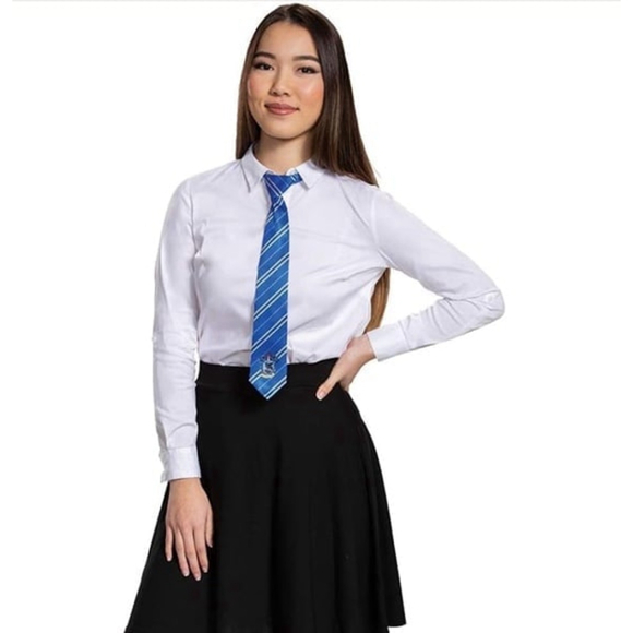 Disguise | Accessories | New Harry Potter Ravenclaw House Tie Necktie ...